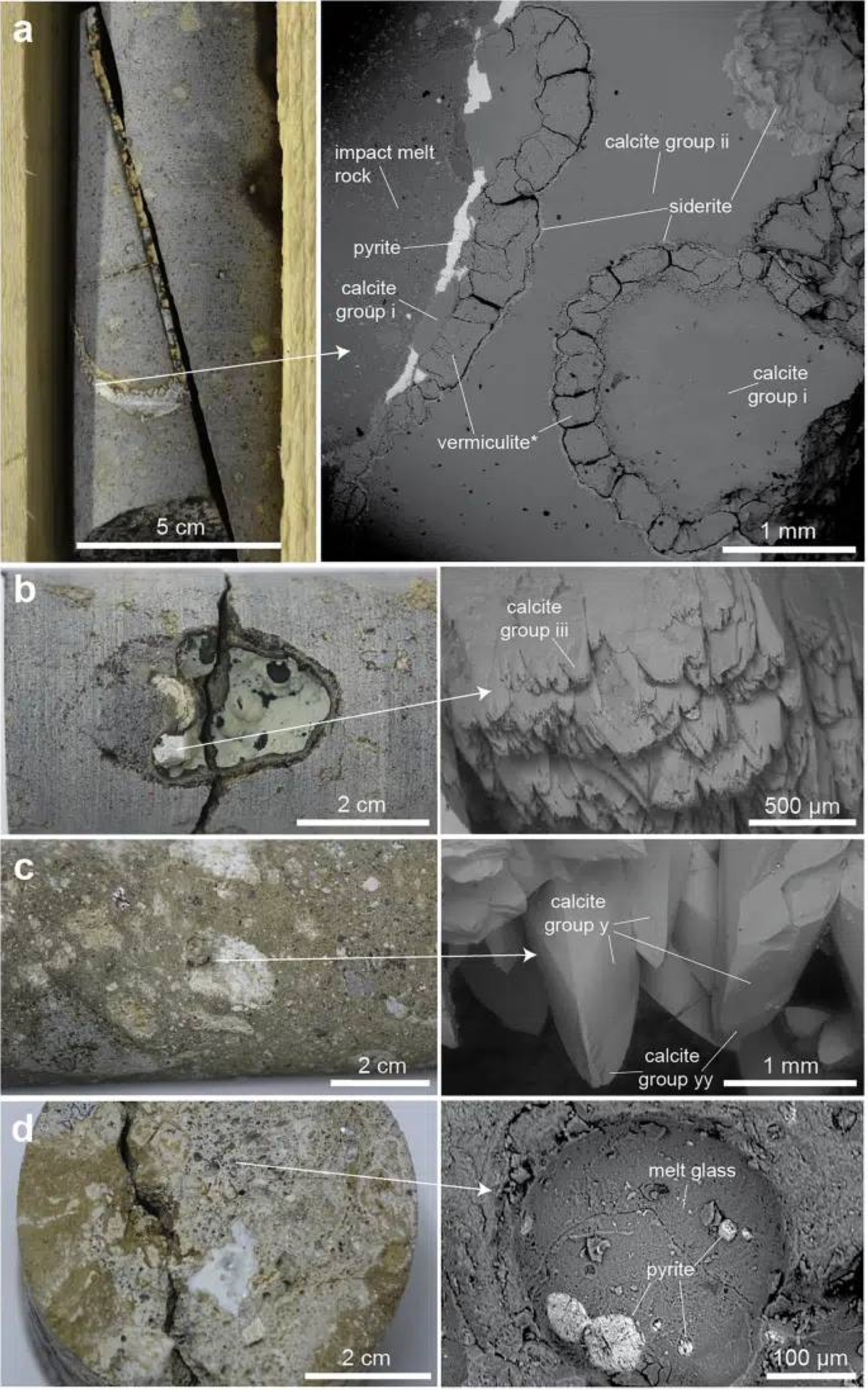 A Meteorite Crater Unveils Secrets About Life's Origin – Archyde